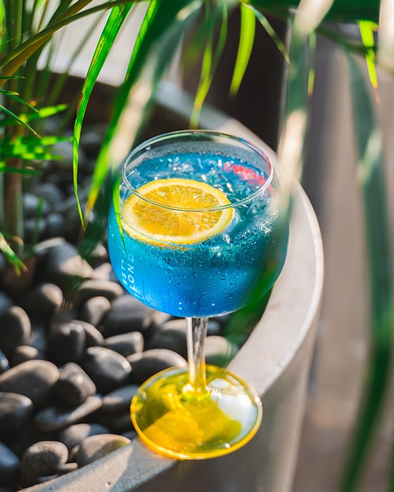 Maya by Chef Richard Sandoval | Dubai's Best Mexican Restaurant